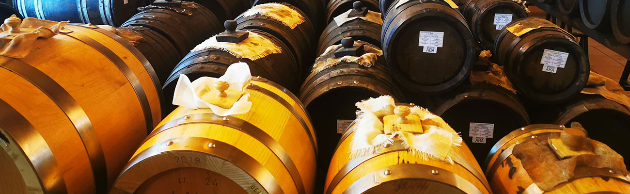 Altre esperienze alla scoperta di Modena e Bologna - E-Bike Modena